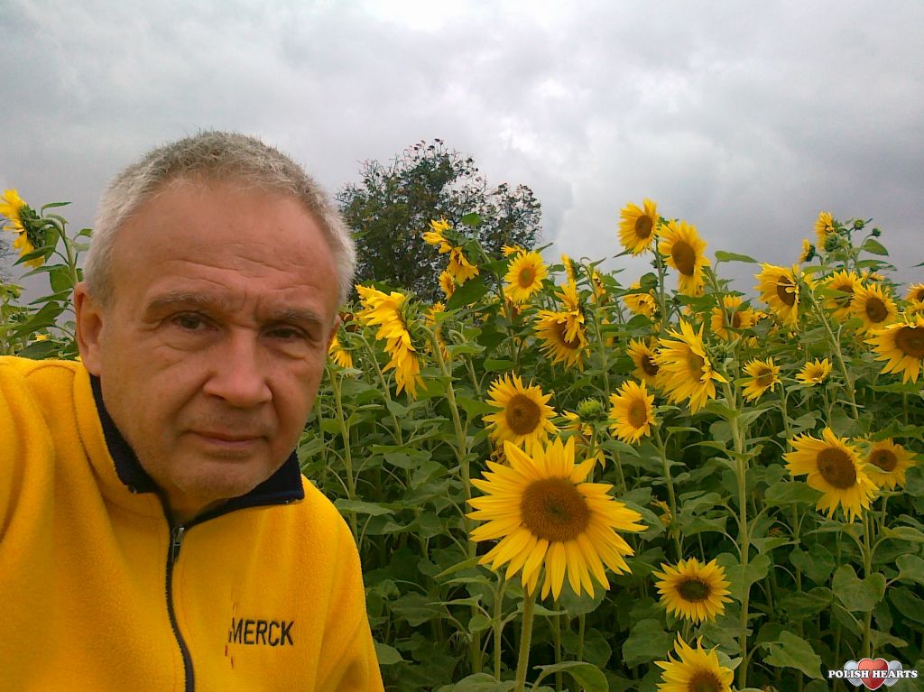 Handsome Polish man: user: pracownia5, 77 years old